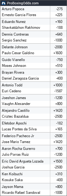 IBO Heavyweight Champion Jimmy Thunder, Dies at 54, Held Record For ...