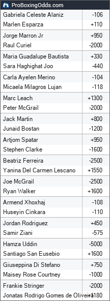 USA Boxing Announces 2020 Tokyo Olympic Games Qualification Team - REAL ...