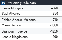 USA Boxing Announces 2020 Tokyo Olympic Games Qualification Team - REAL ...